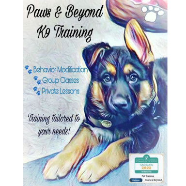 Paws & Beyond LLC | Paw Partner