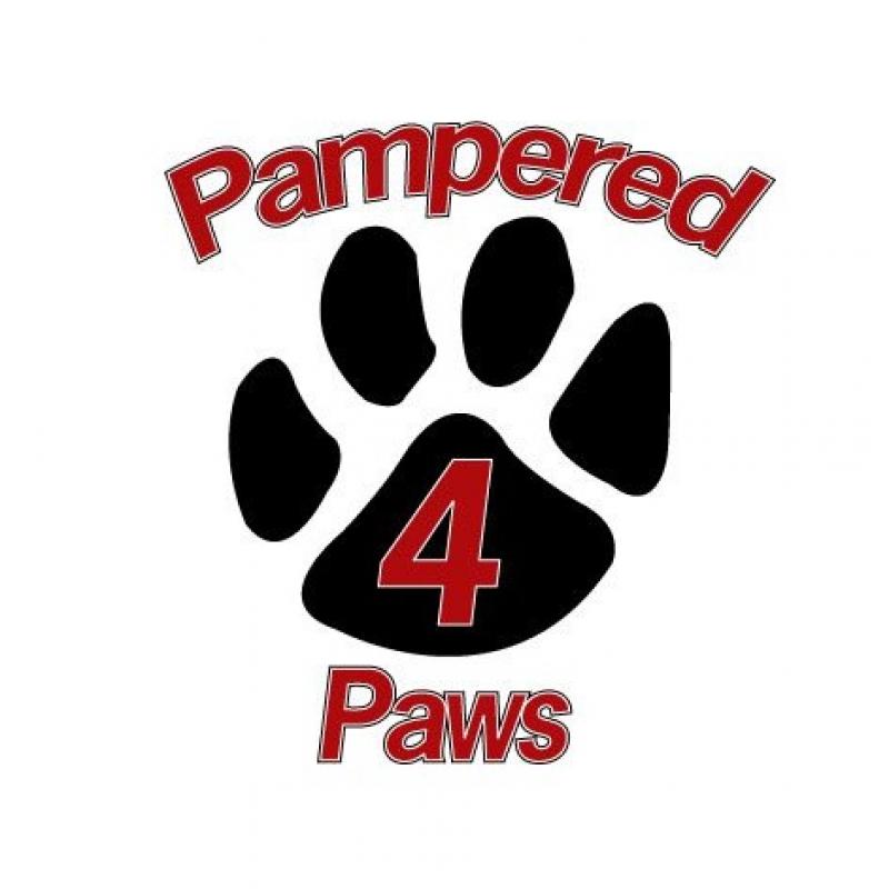 Pampered “4” Paws | Paw Partner