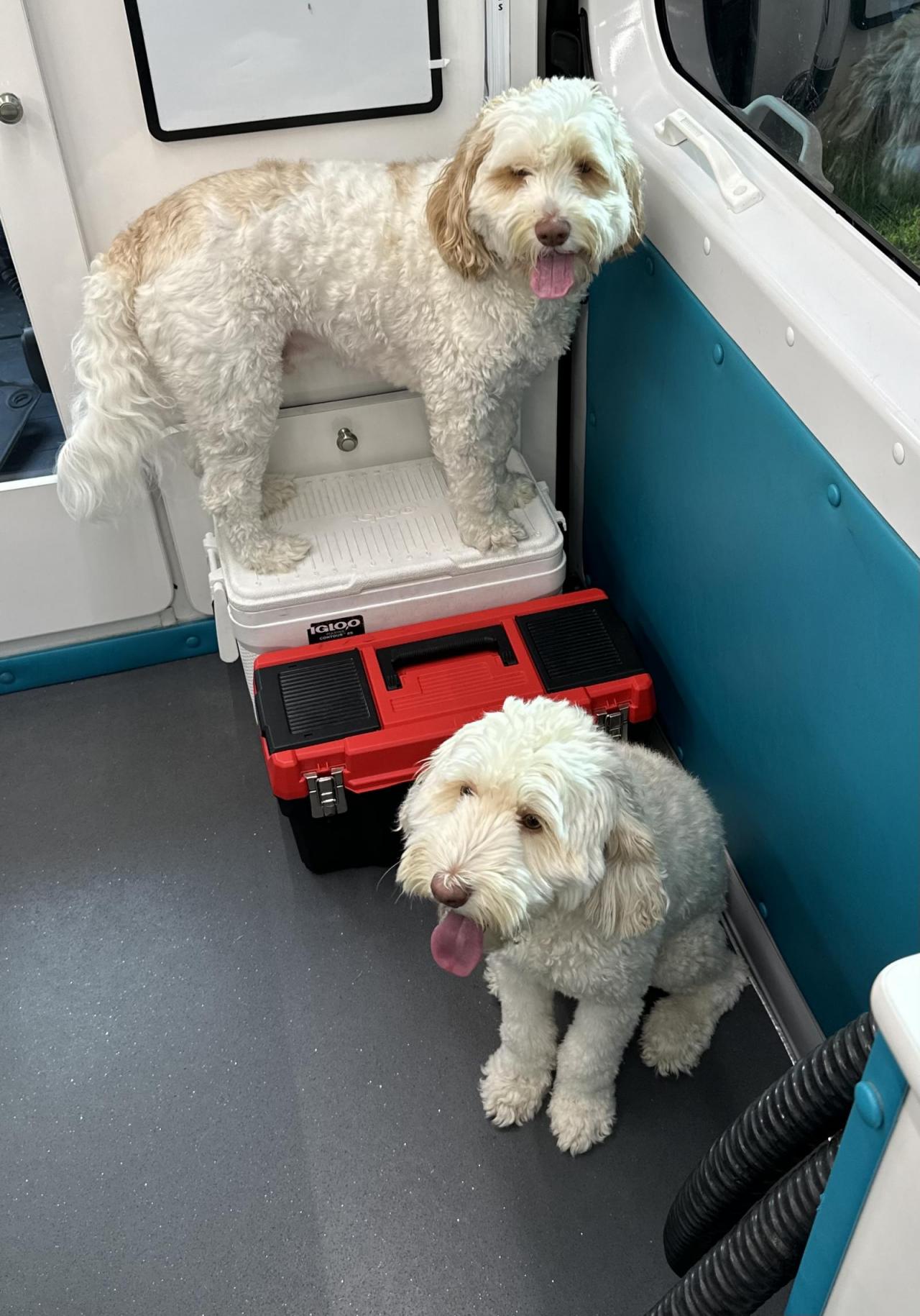 Happy Wags Lodge & Spa & Mobile Grooming | Paw Partner