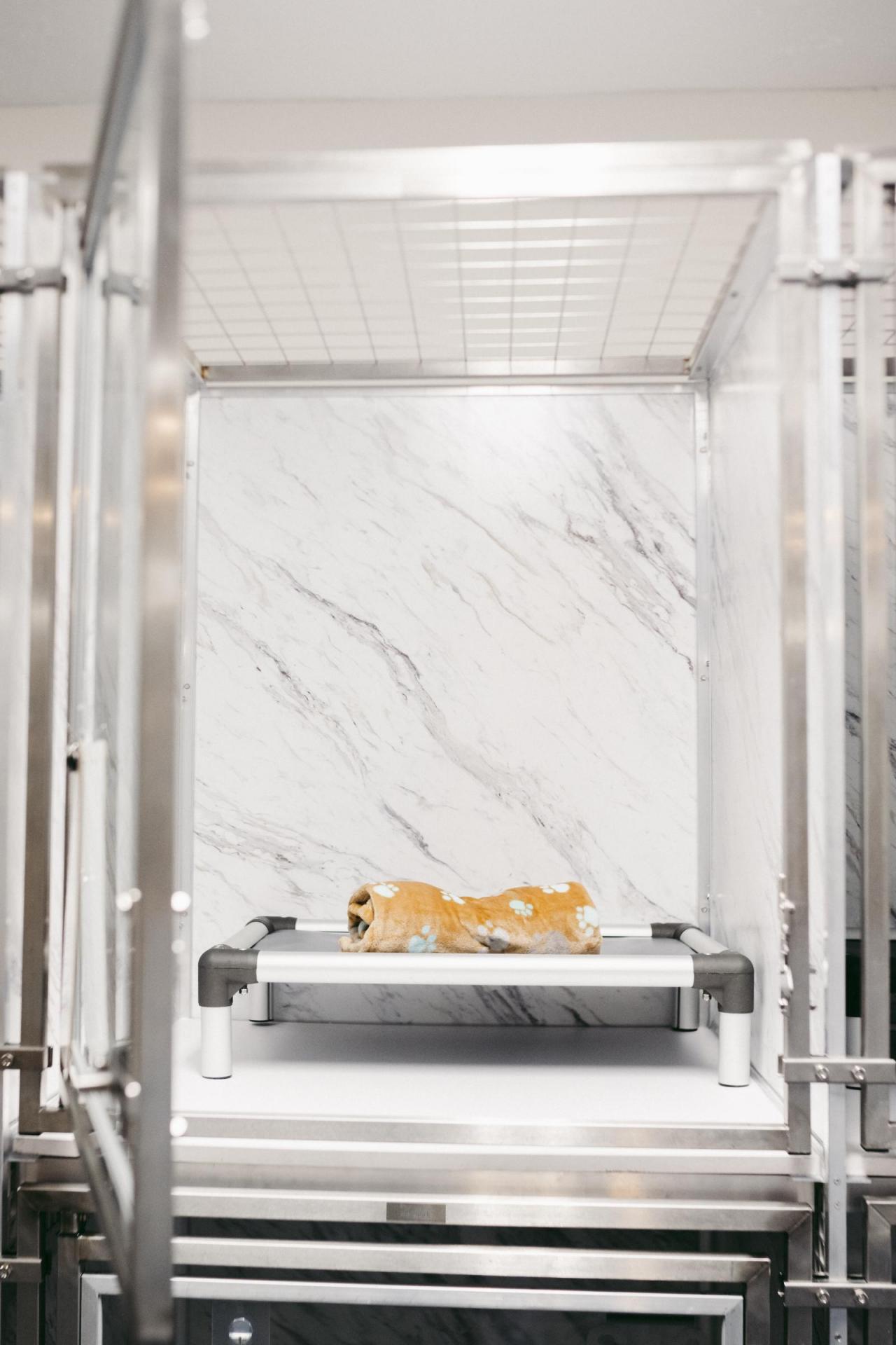 The Ritz Pawton | Paw Partner