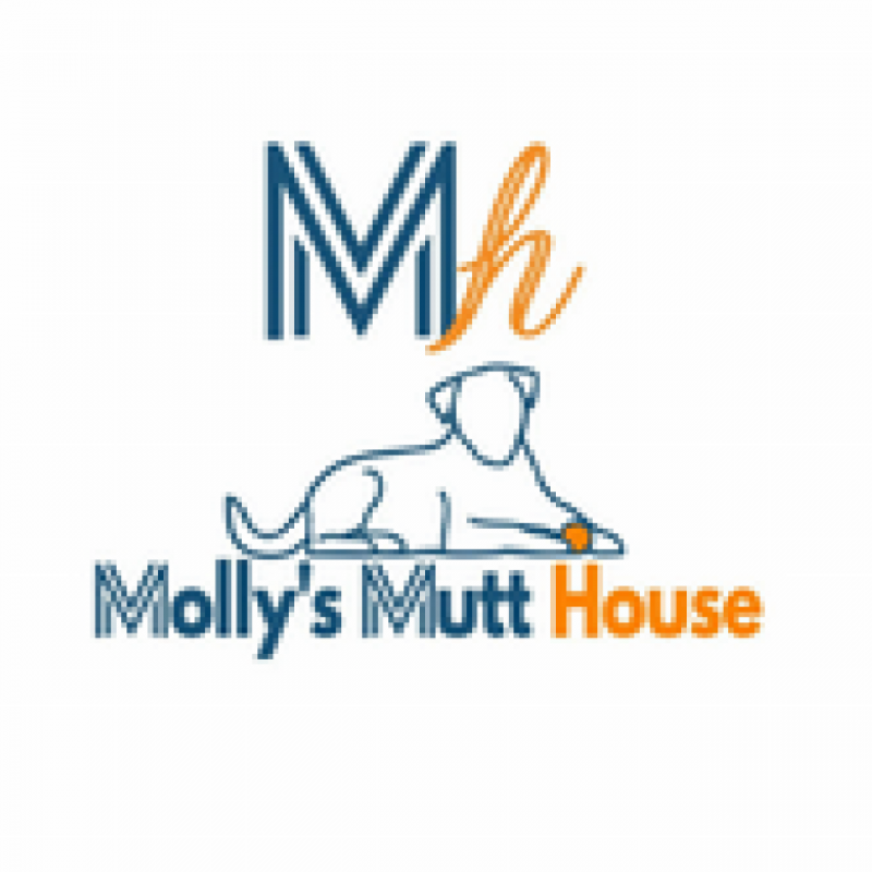 Molly's Mutt House | Paw Partner
