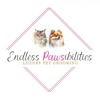 Home | Paw Partner
