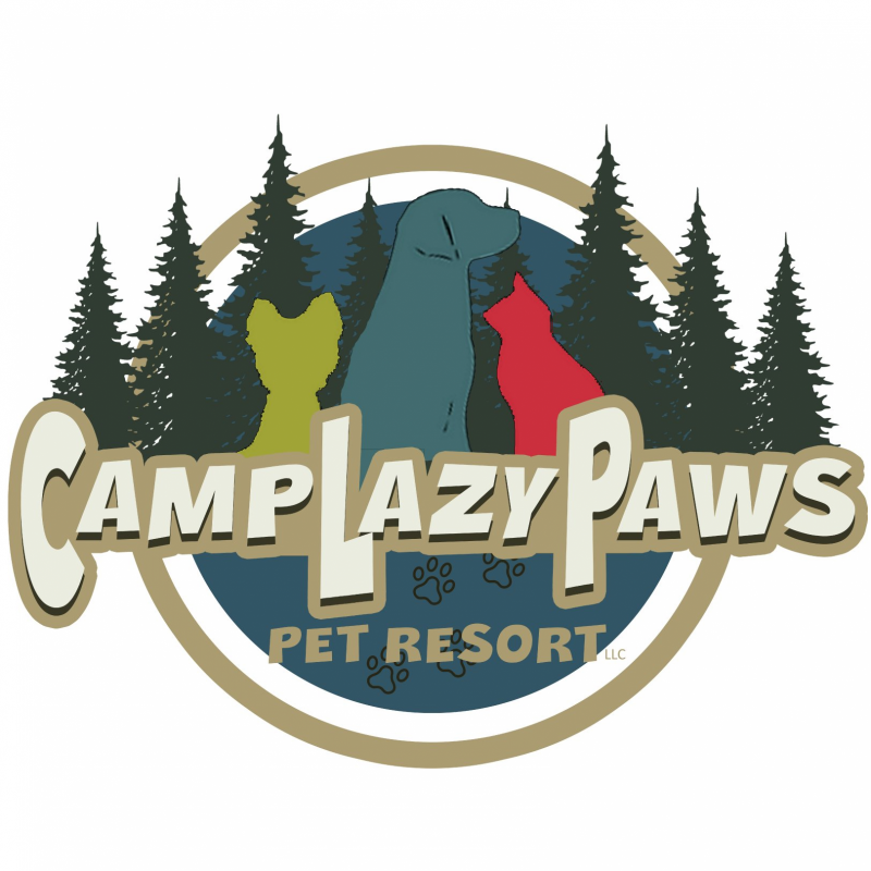 Camp Lazy Paws Pet Resort | Paw Partner