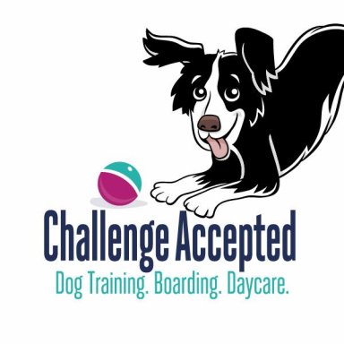 Challenge Accepted Dog Training | Paw Partner