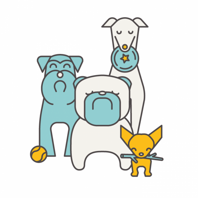 Throw Me A Bone @ 525 W 52nd St | Paw Partner