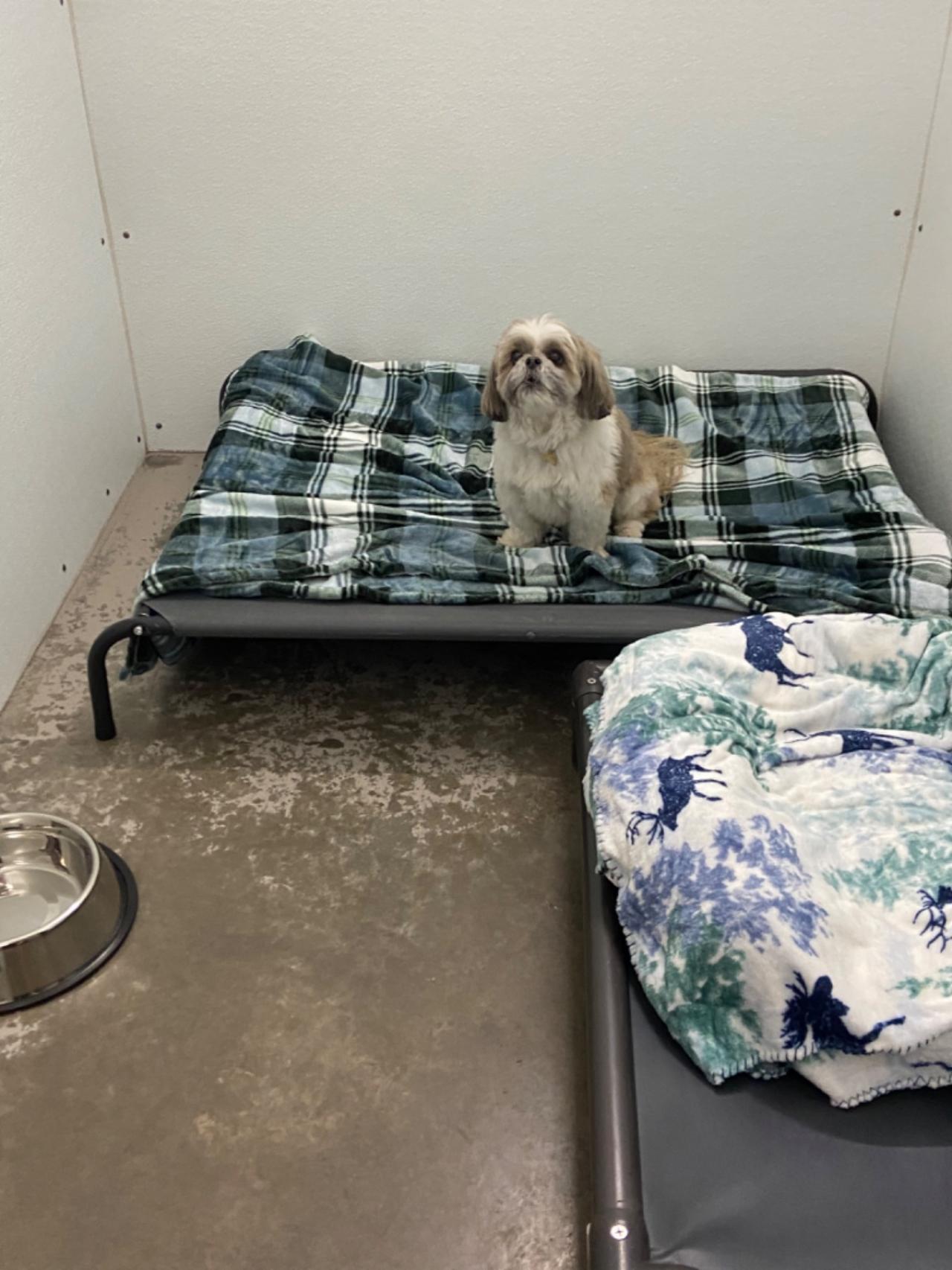 Salty Dog Ranch | Paw Partner