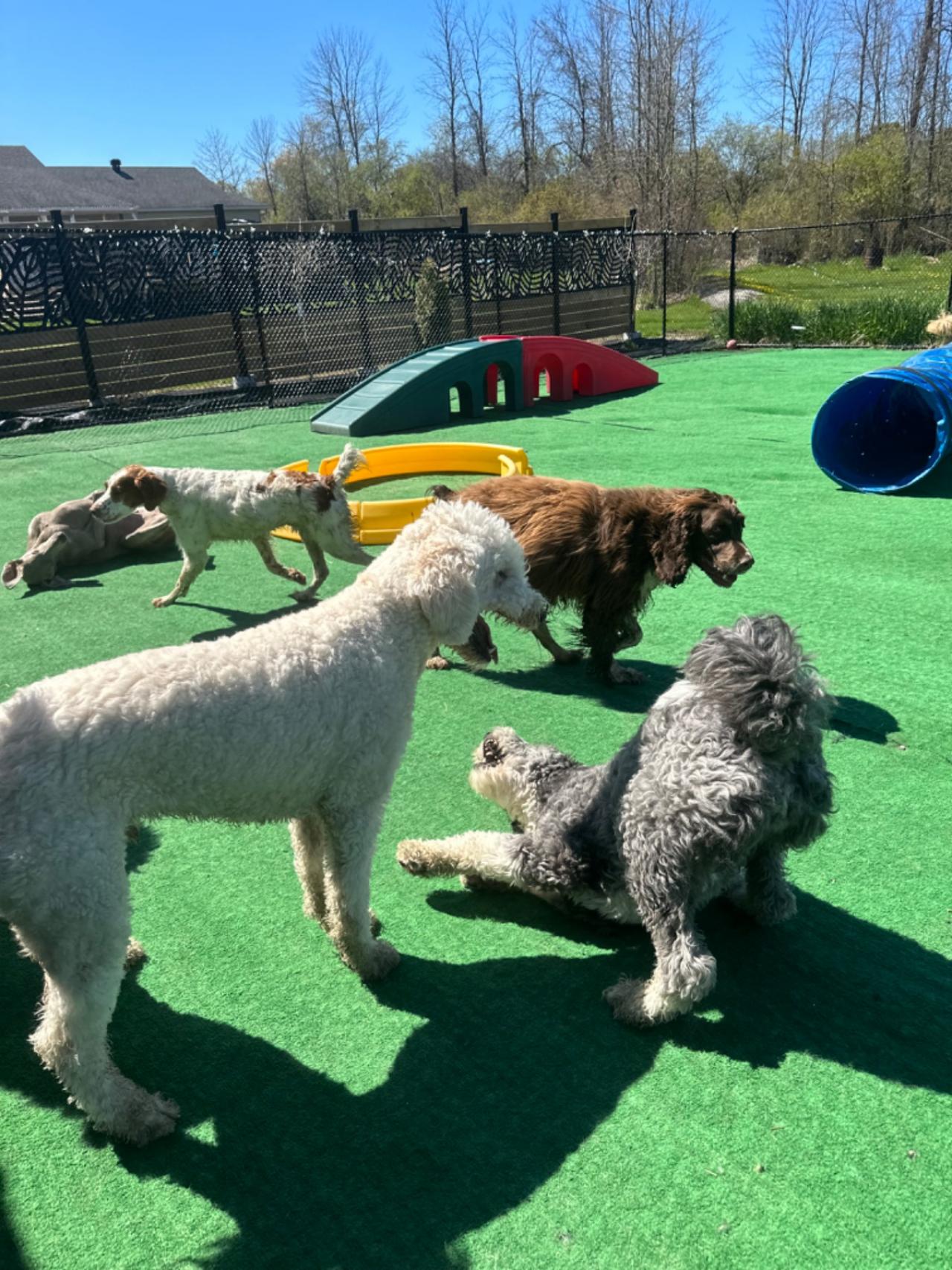 Apple Ridge Farm | Paw Partner