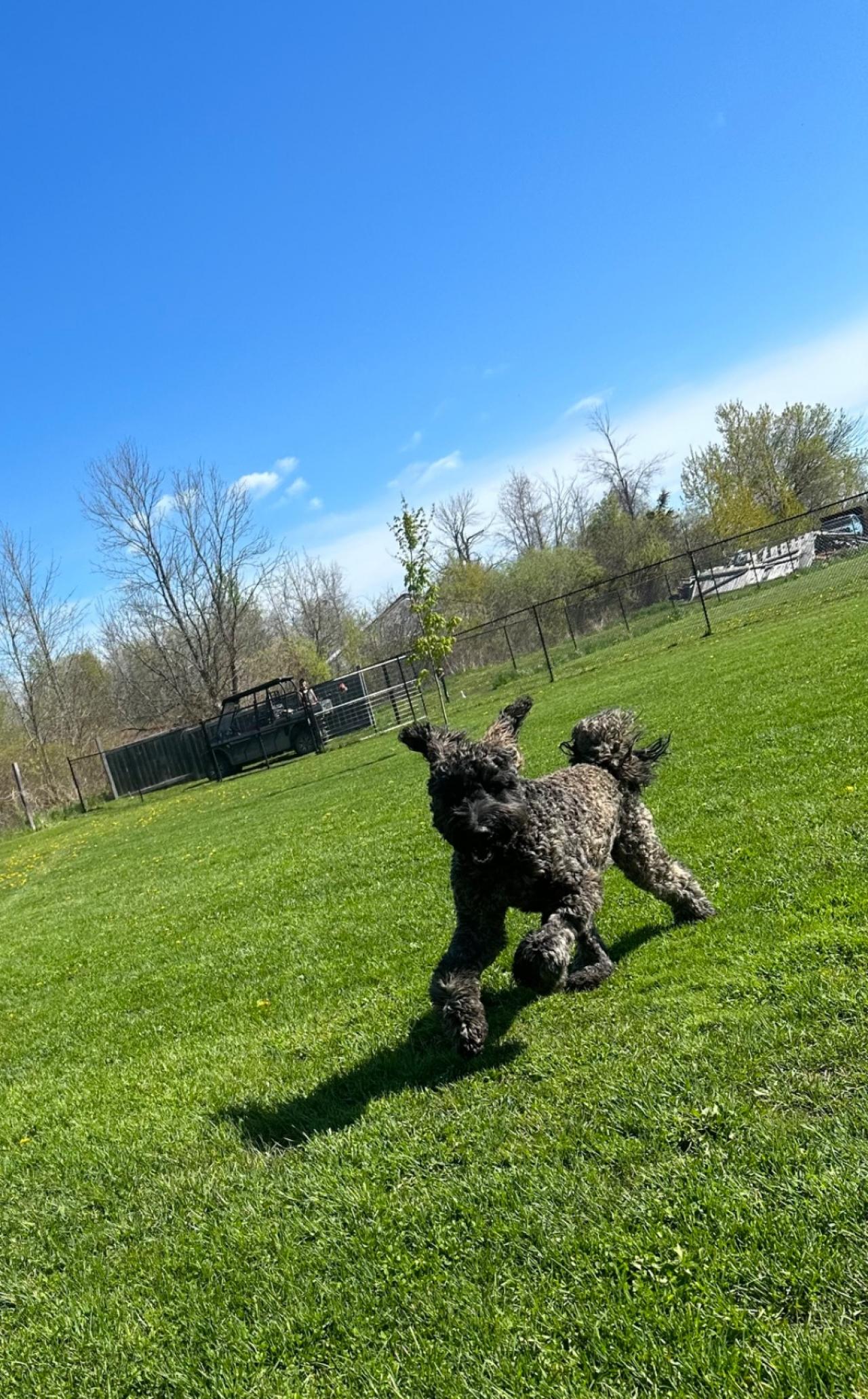 Apple Ridge Farm | Paw Partner