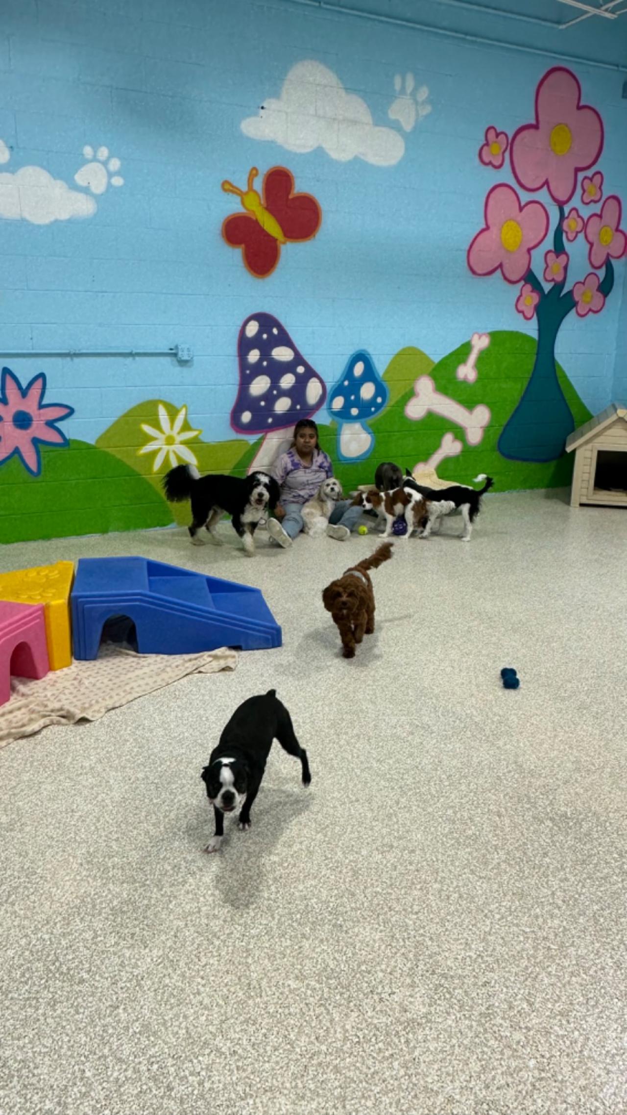 Wee Little Paws Inn - Crystal Lake | Paw Partner