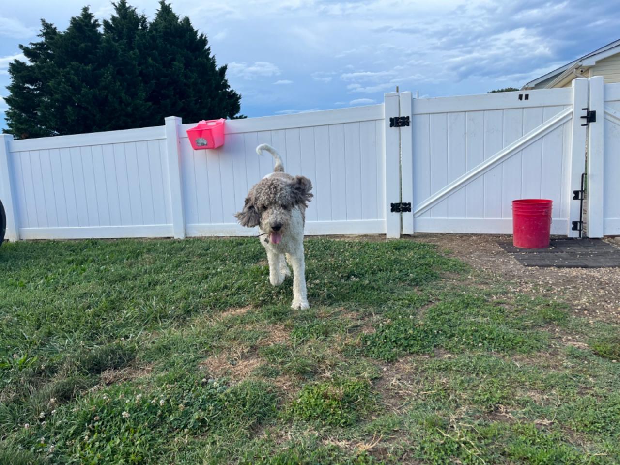 Spalding Farms Only Paws Luxury Resort And Spa | Paw Partner