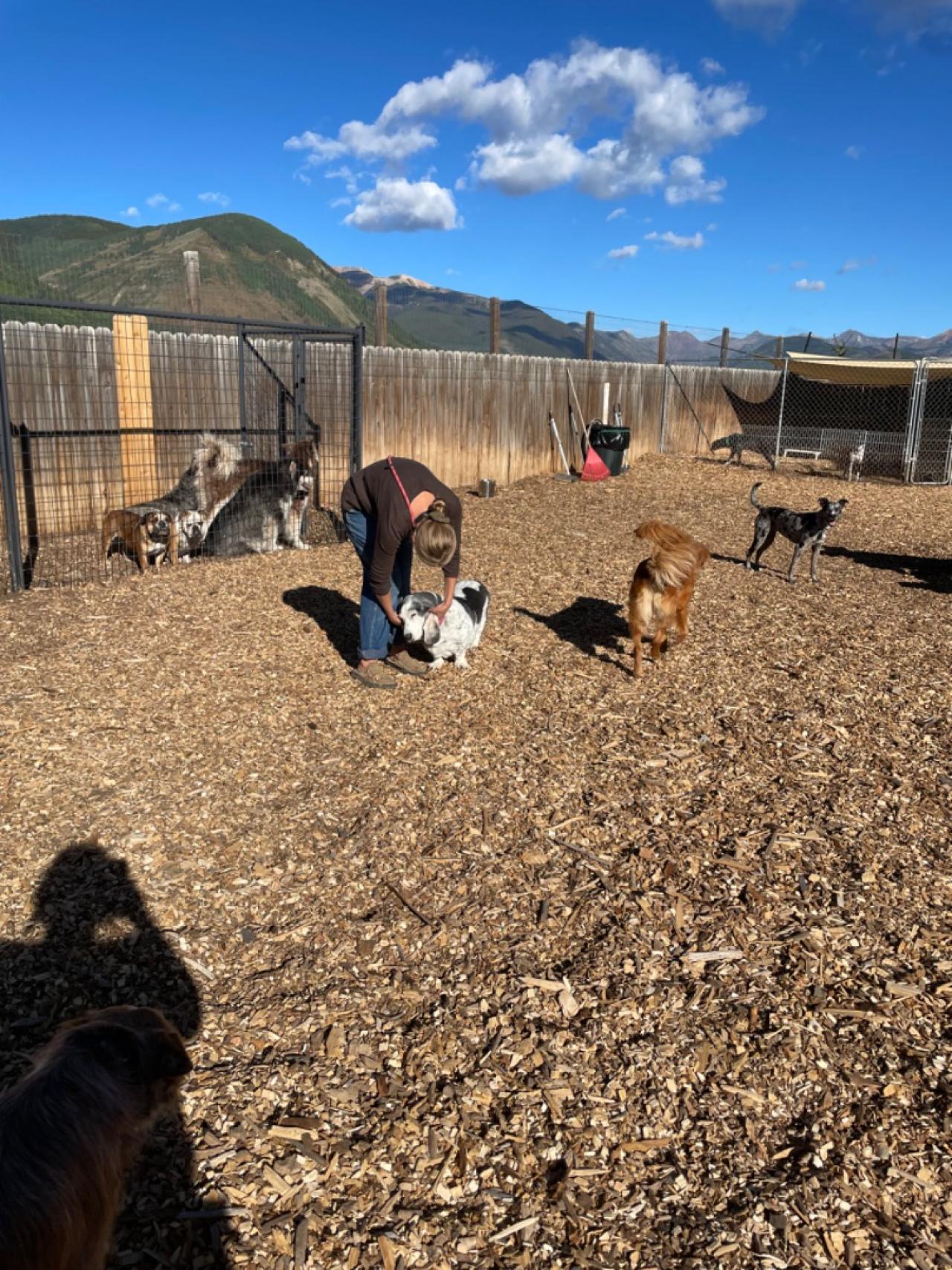 Oh Be Dogful Pet Ranch | Paw Partner