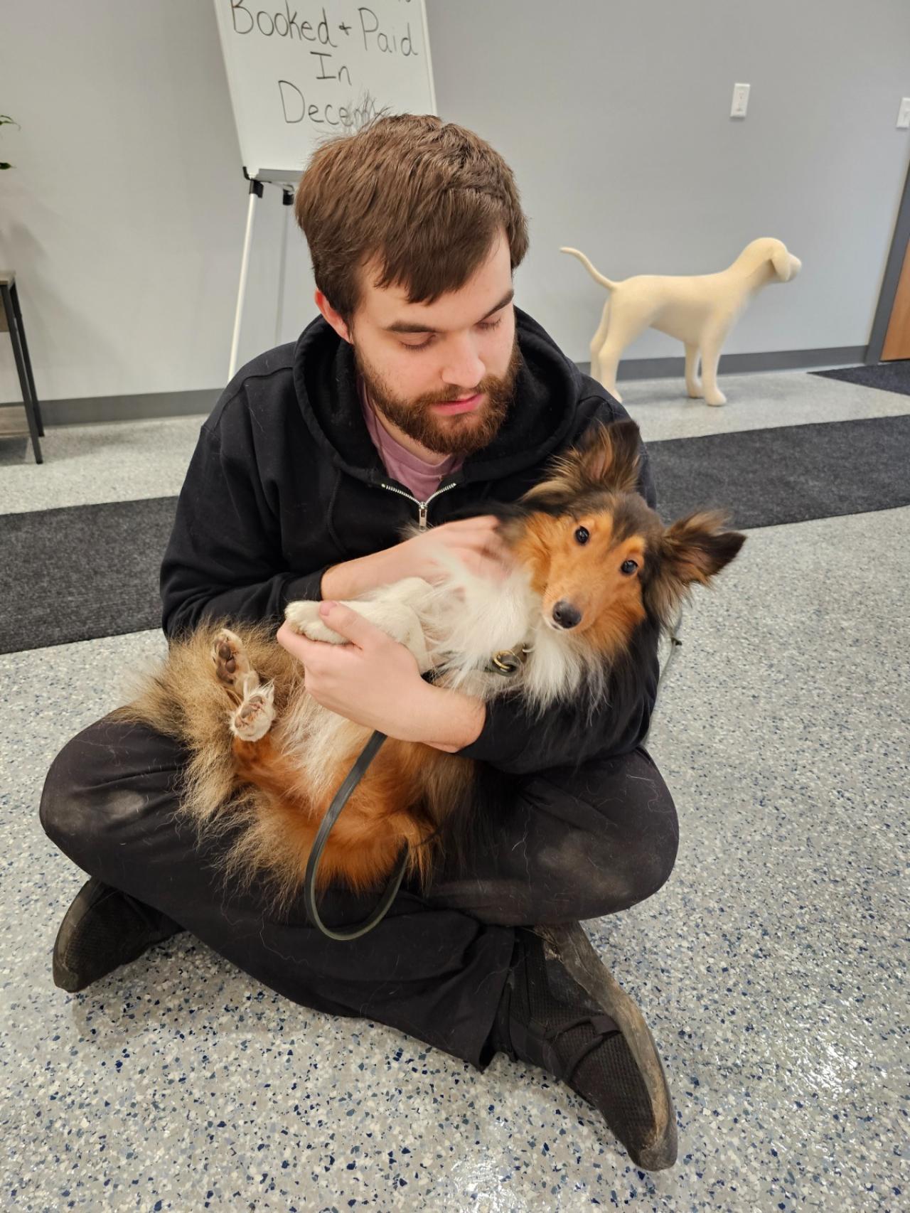 Paws & Beyond LLC | Paw Partner