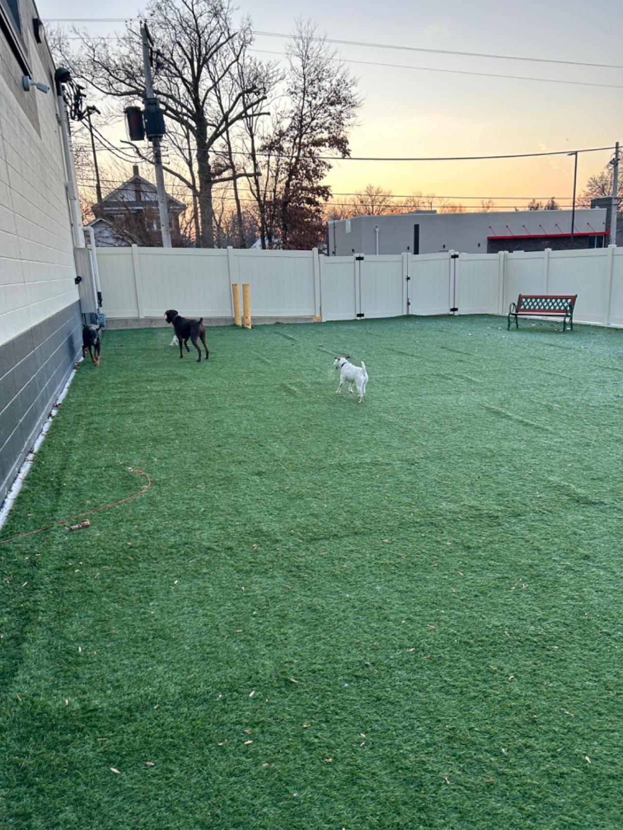 The Barking Lot | Paw Partner