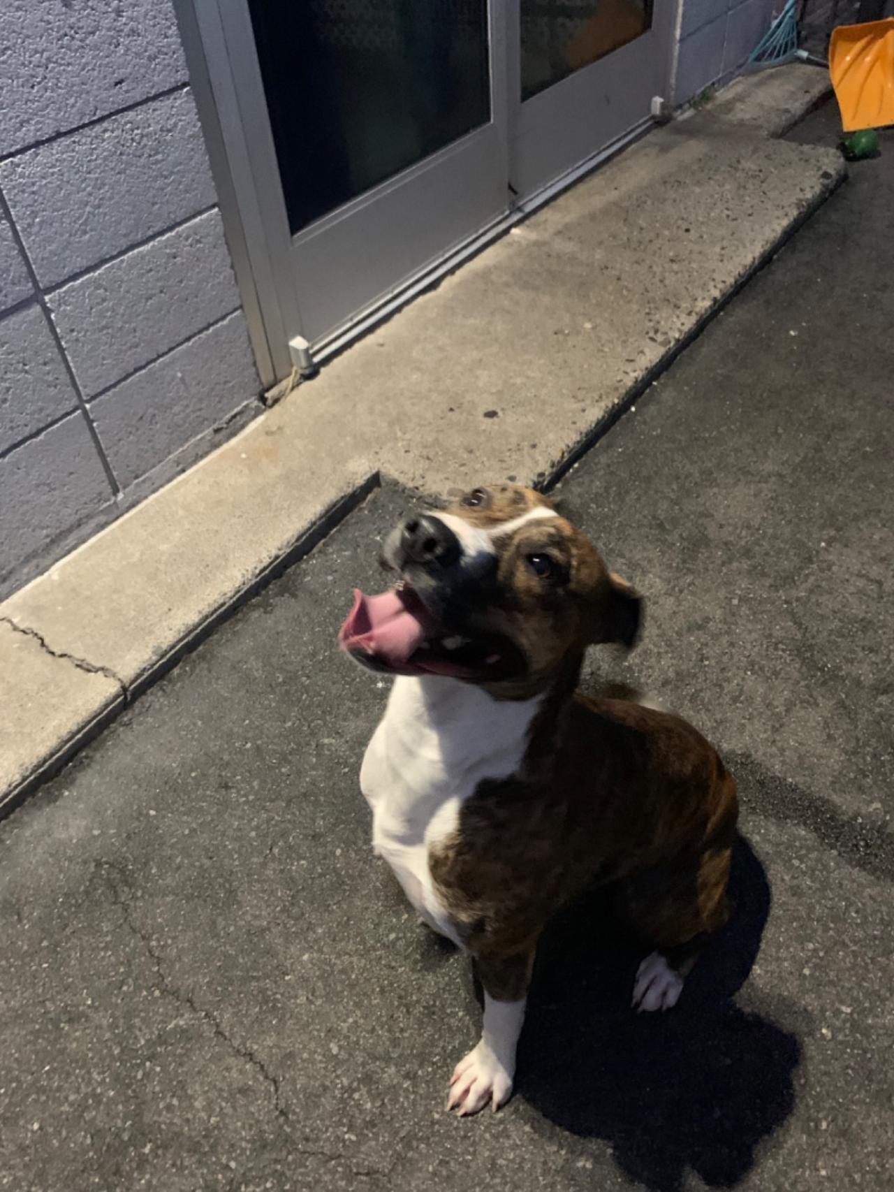 Uncle Fredie's House Of Pets | Paw Partner