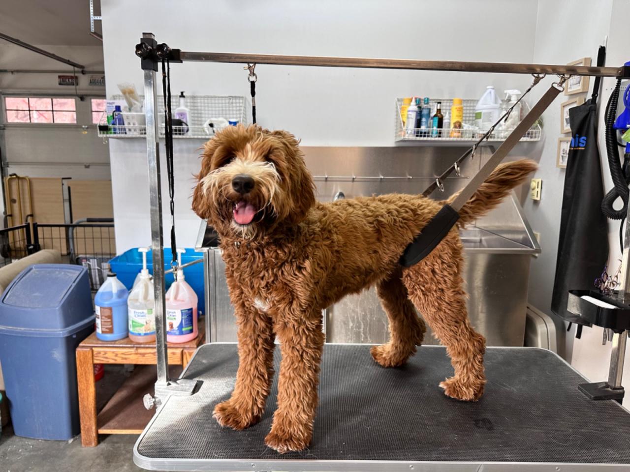 Apple Acres Pet Resort | Paw Partner