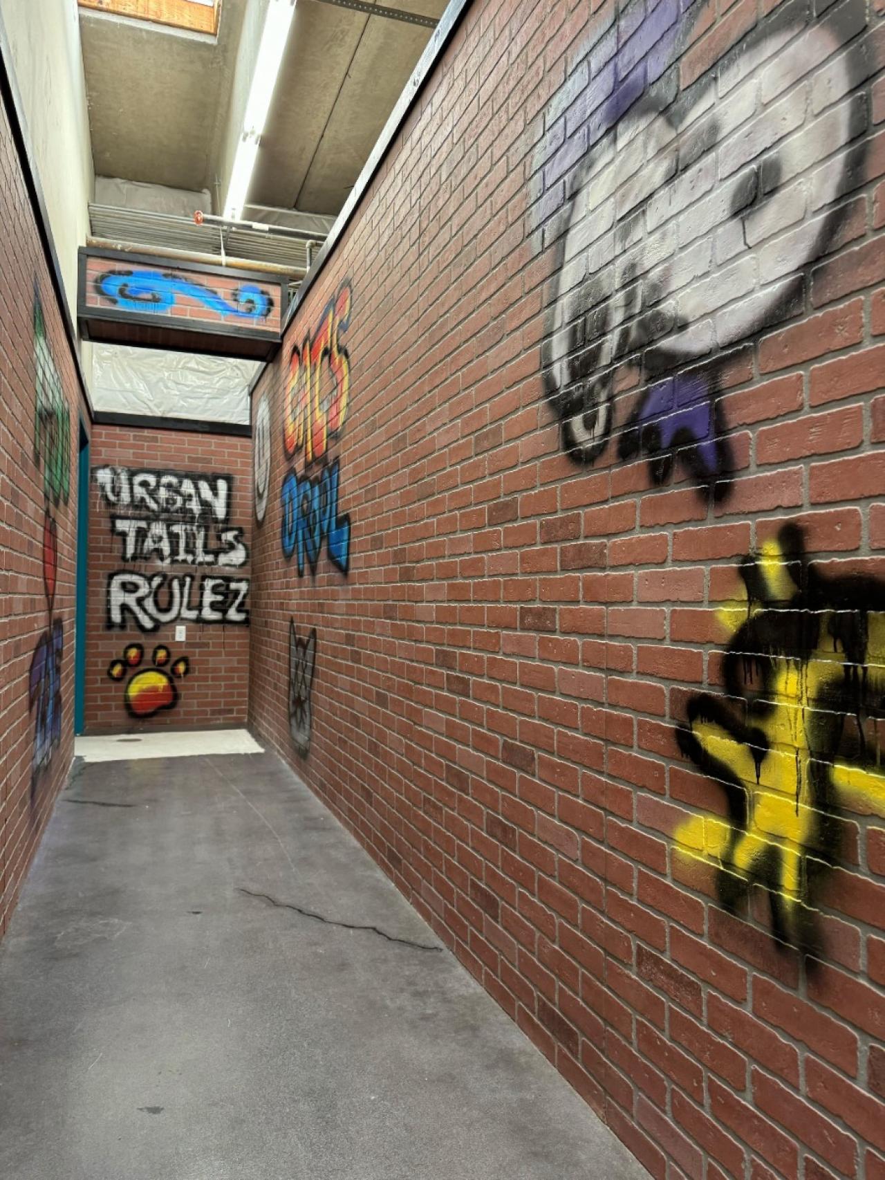 Urban Tails | Paw Partner