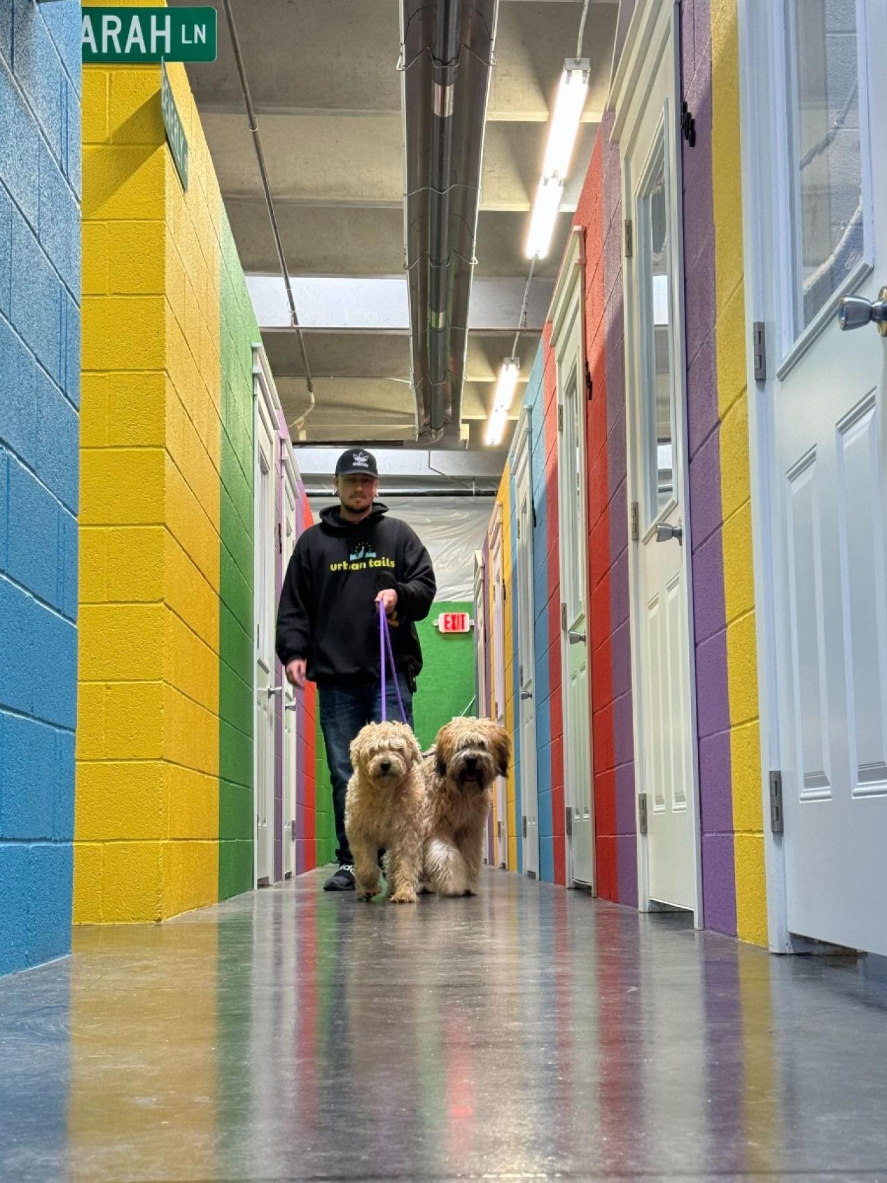 Urban Tails | Paw Partner