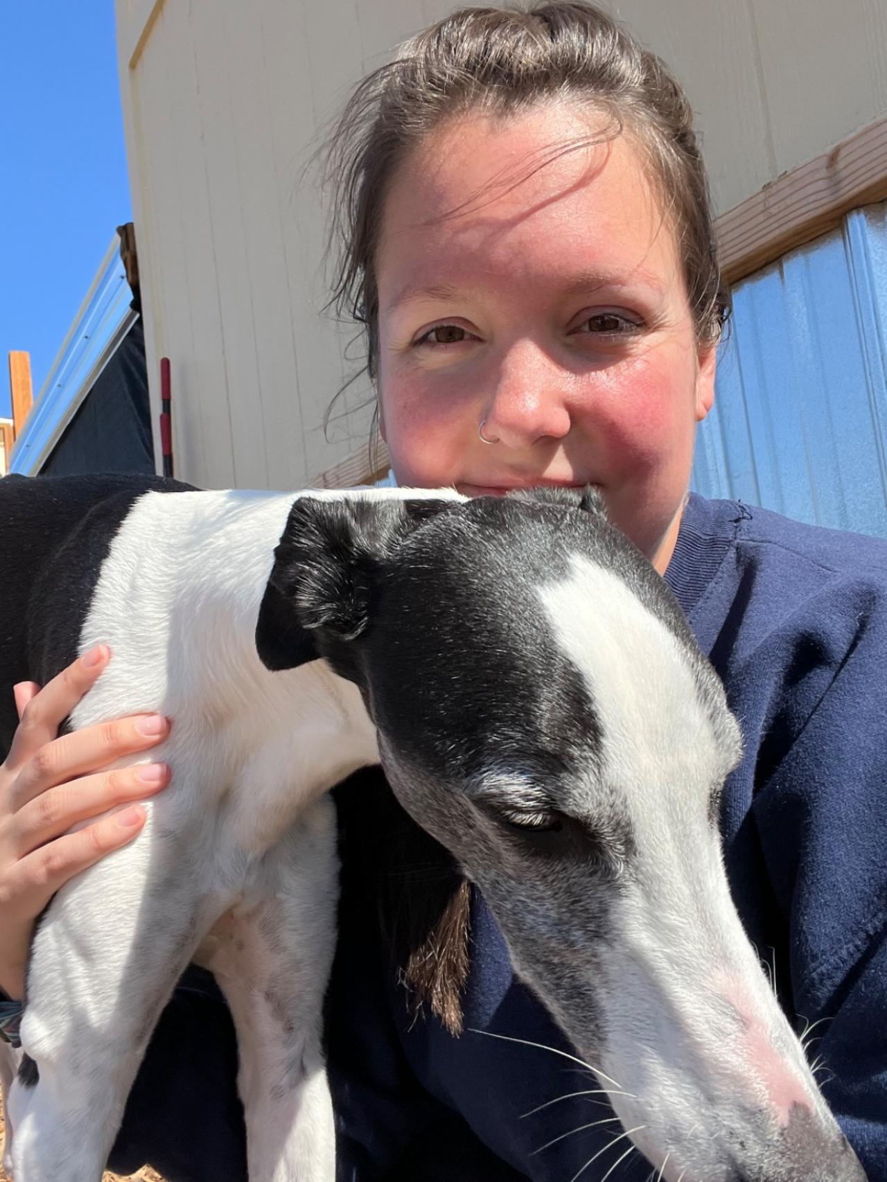 Twin Bins Kennel | Paw Partner