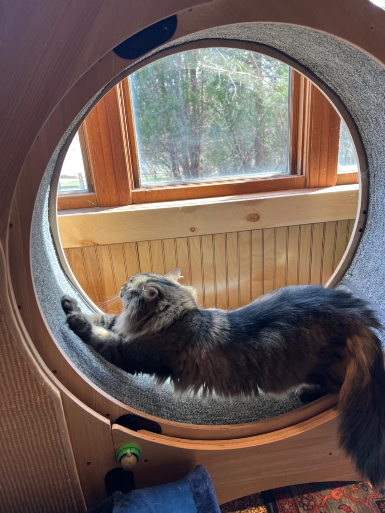 Tiny Tails Lodge | Paw Partner