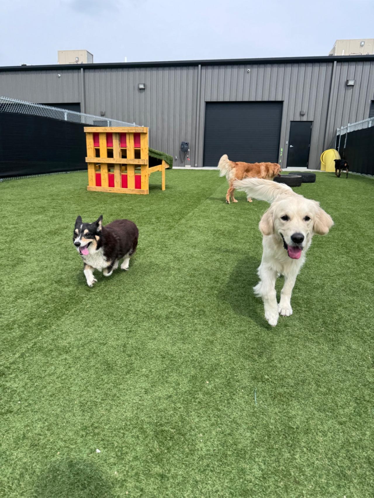 Rowdy Ruff House | Paw Partner