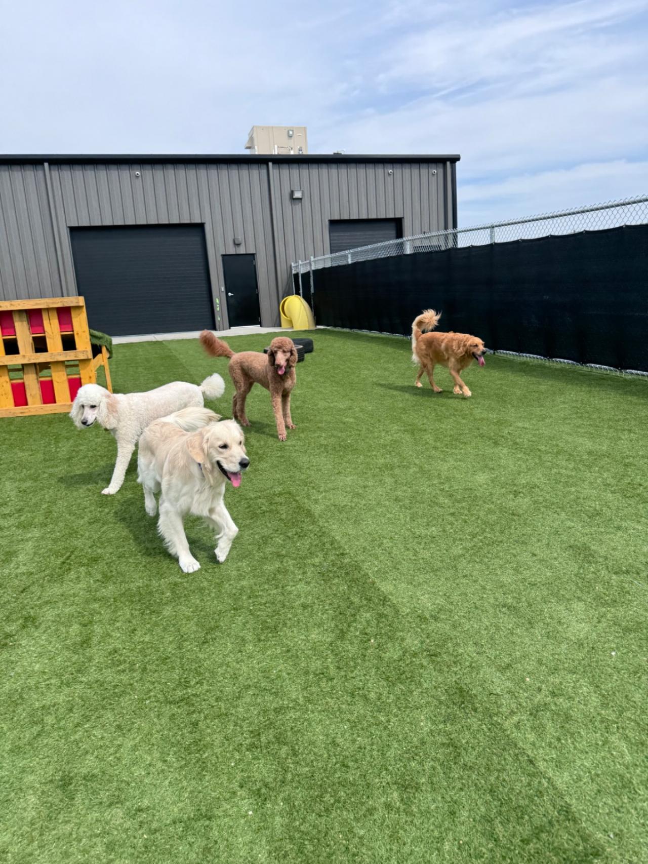 Rowdy Ruff House | Paw Partner