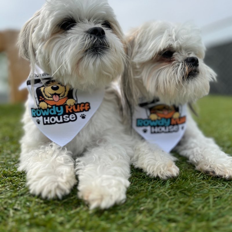 Rowdy Ruff House | Paw Partner