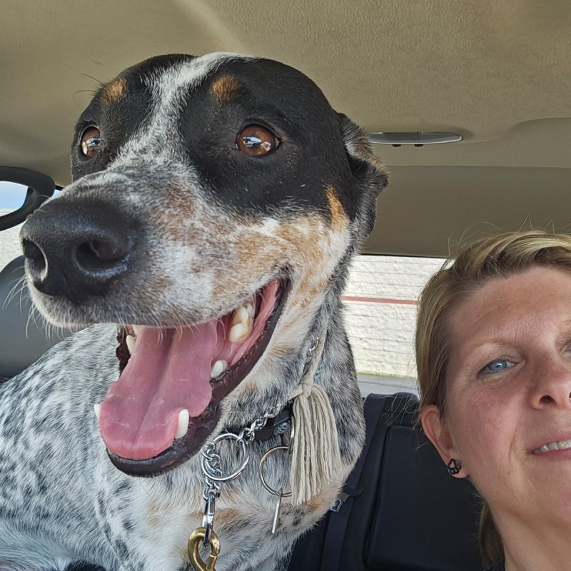 Paws & Beyond LLC | Paw Partner