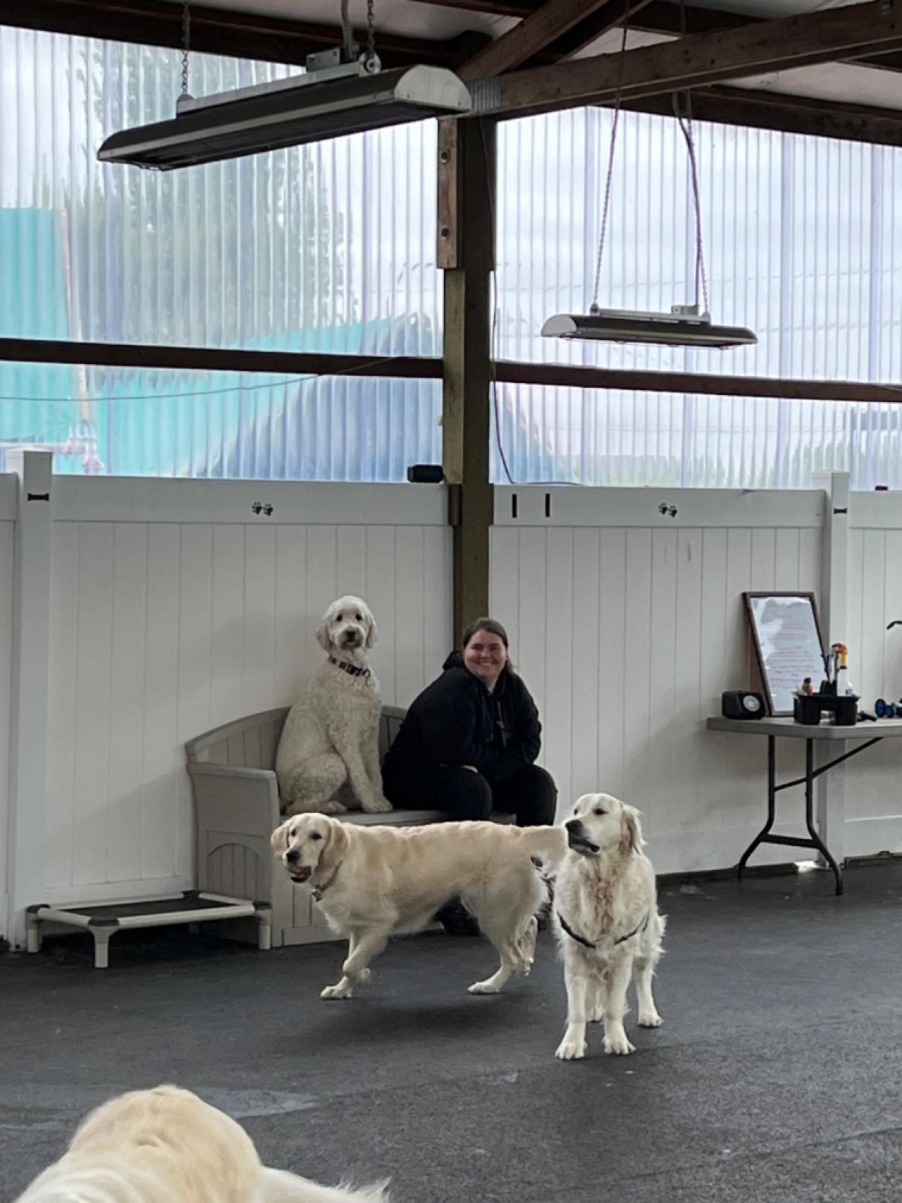 Camp Canine | Paw Partner