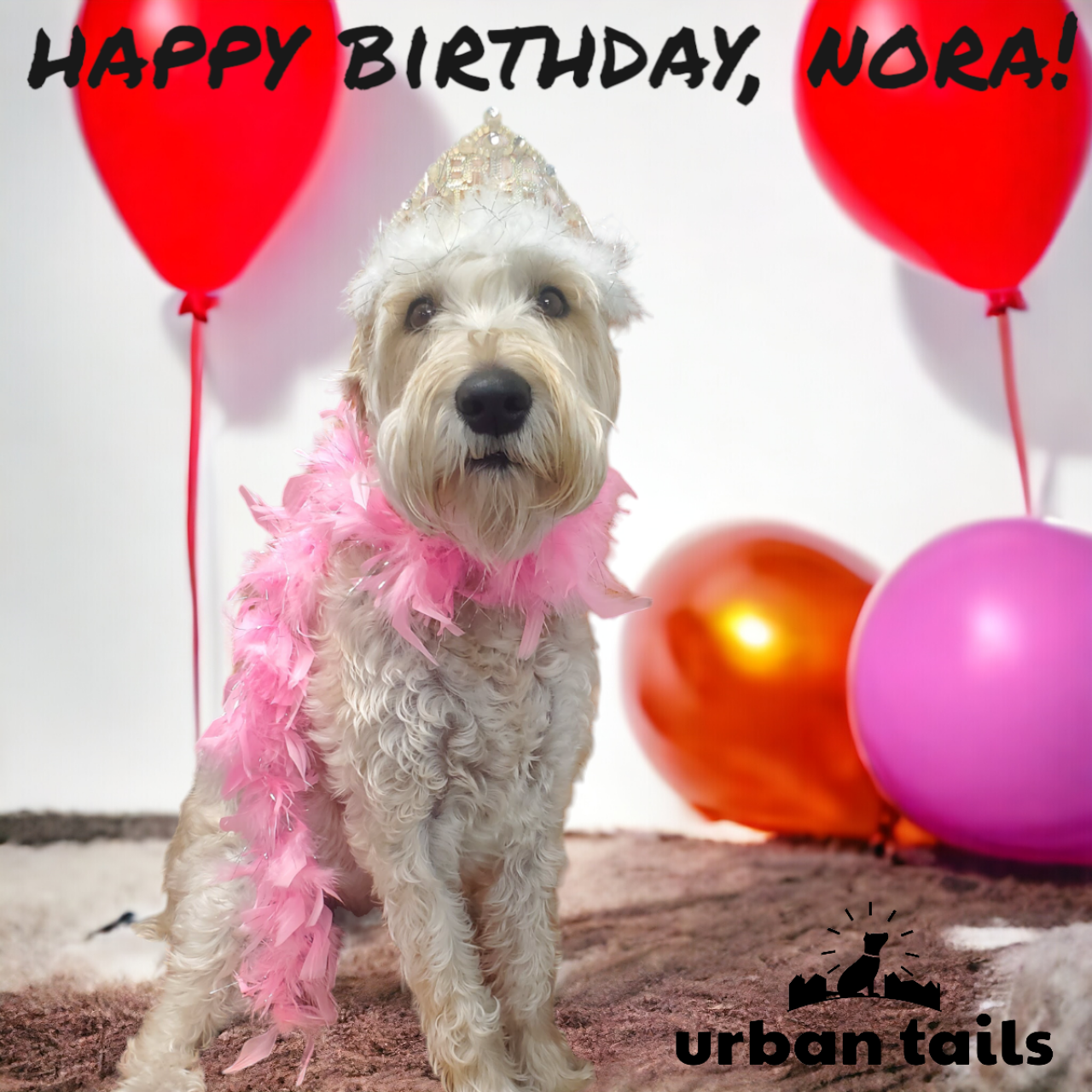 Urban Tails | Paw Partner