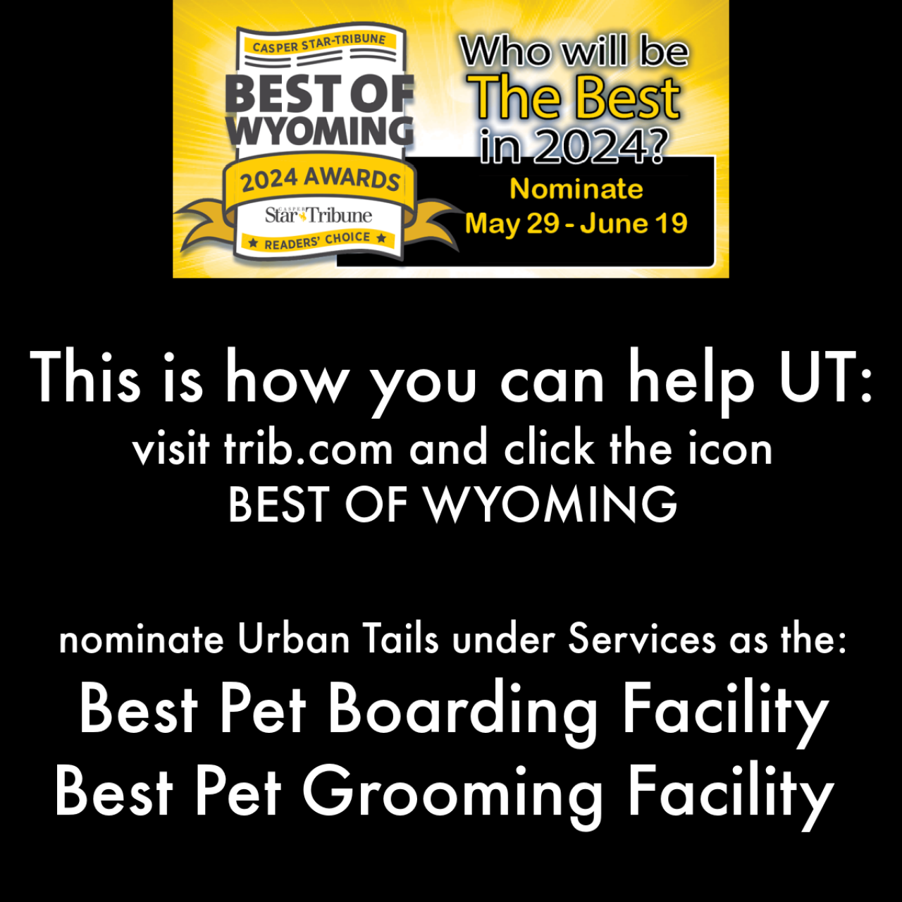 Urban Tails | Paw Partner