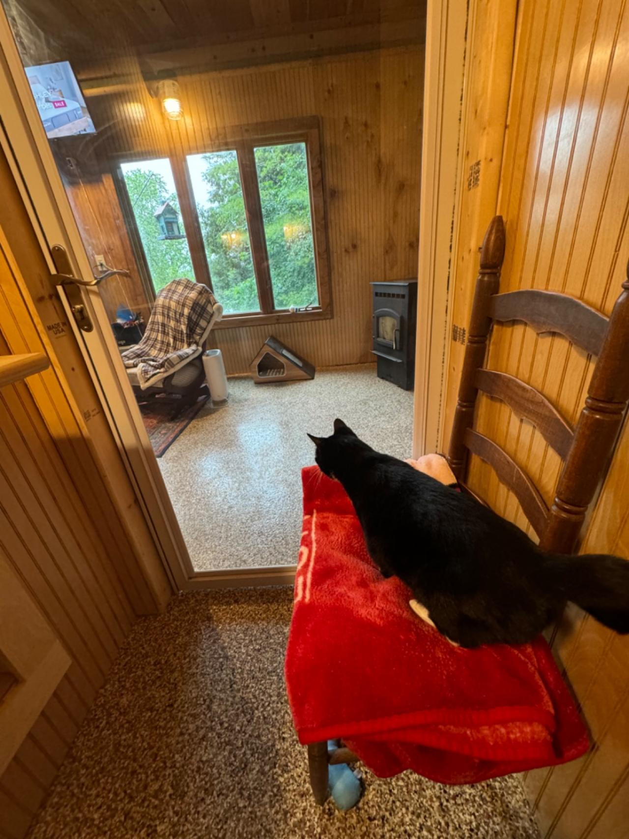 Tiny Tails Lodge | Paw Partner