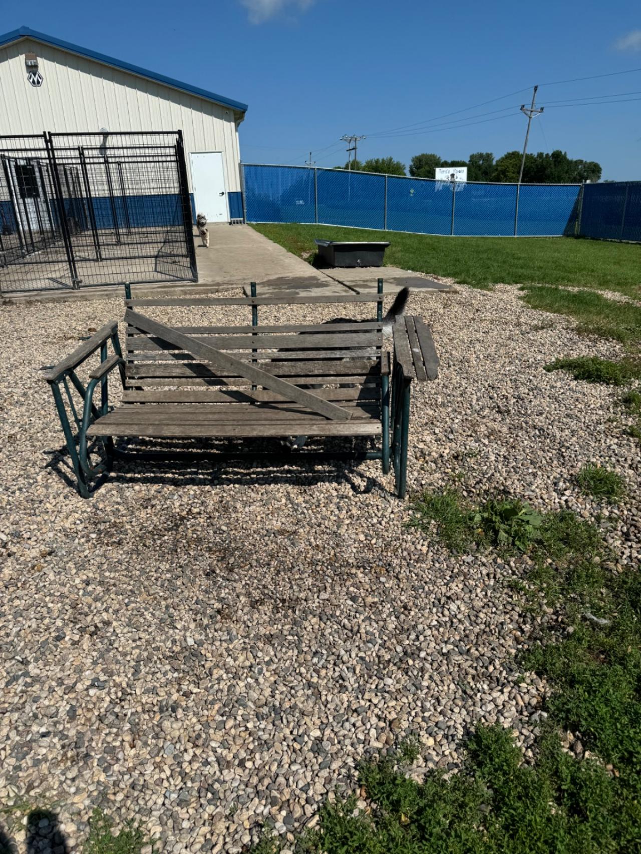 Tera's S'paw & Pet Resort | Paw Partner