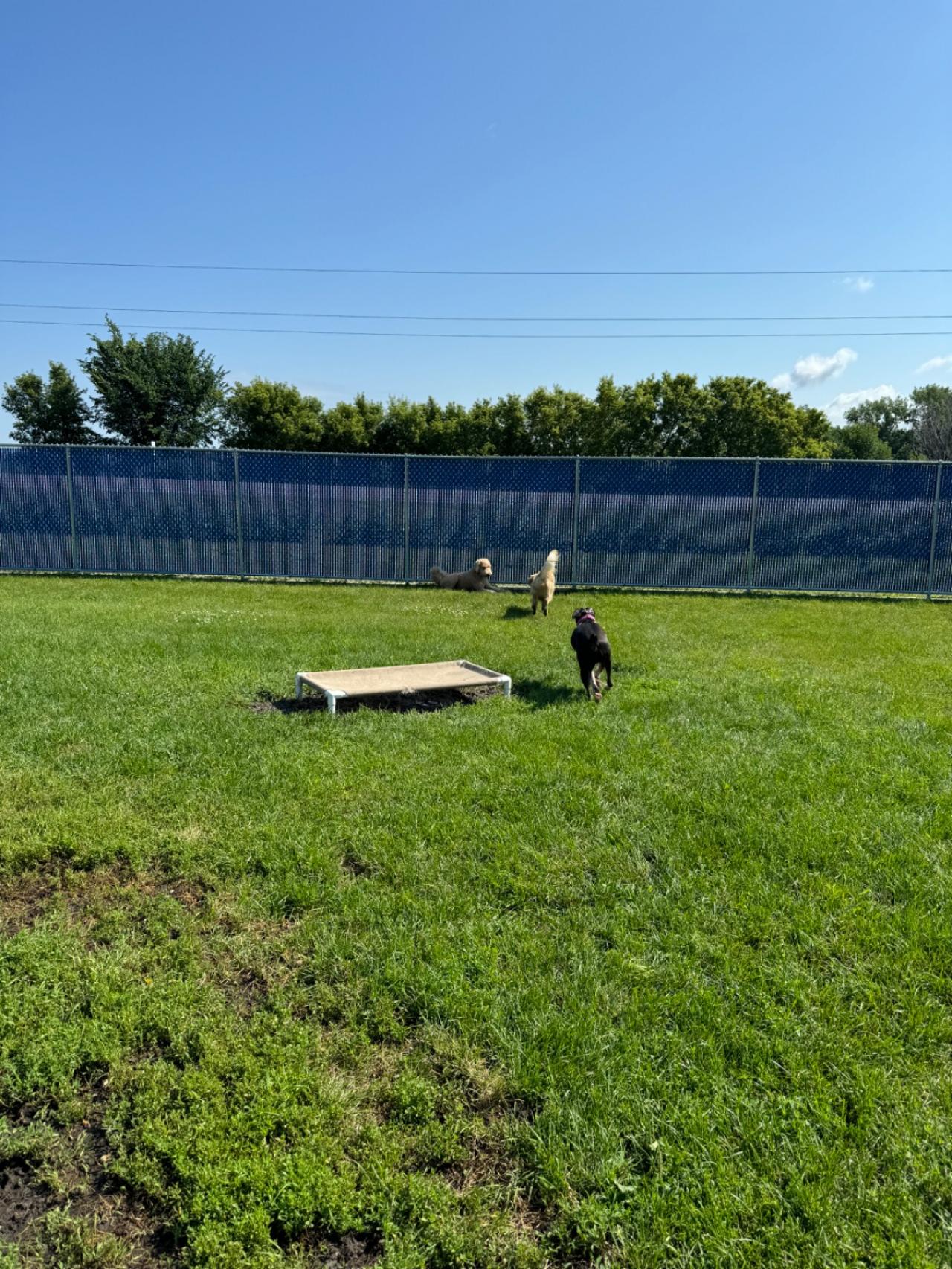 Tera's S'paw & Pet Resort | Paw Partner