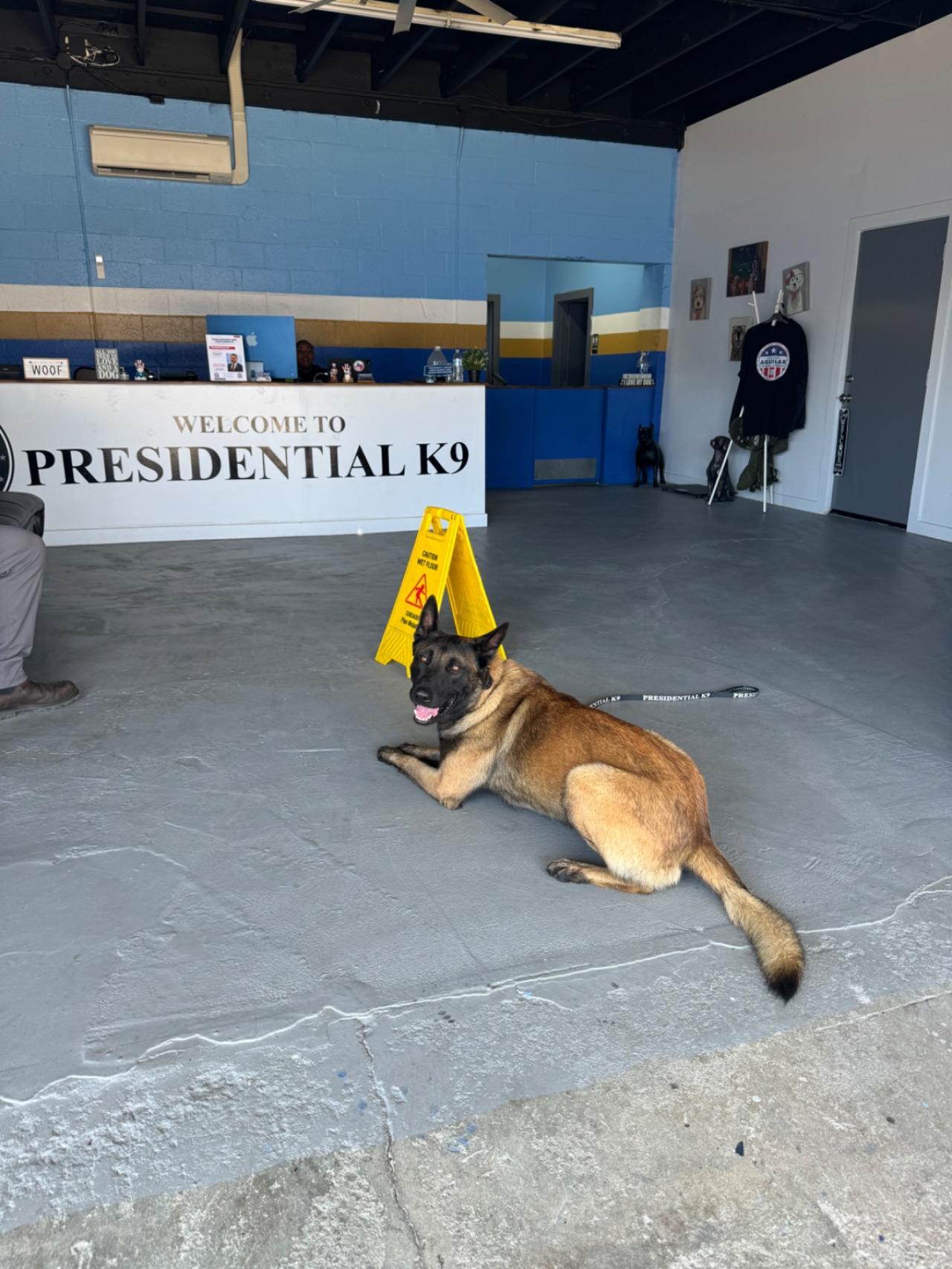 Presidential k9 | Paw Partner